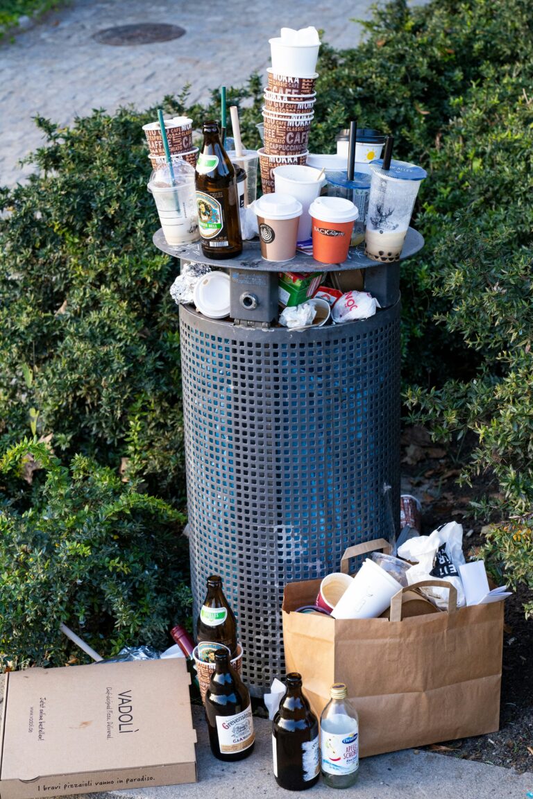 Junk Busters Trash Removal: A Comprehensive Business Review - Foretec